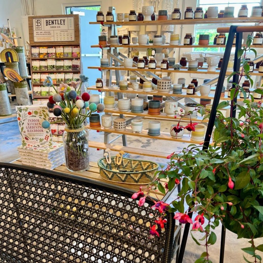 Meet Dana Davidoff | Serial Retailer - SHOUTOUT ATLANTA