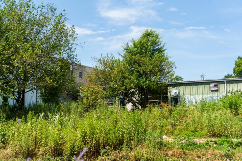 Meet Brandy Hall | Founder and CEO of Shades of Green Permaculture ...