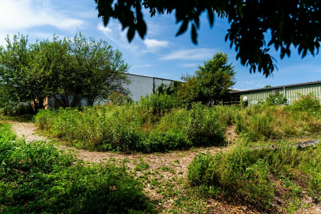 Meet Brandy Hall | Founder and CEO of Shades of Green Permaculture ...