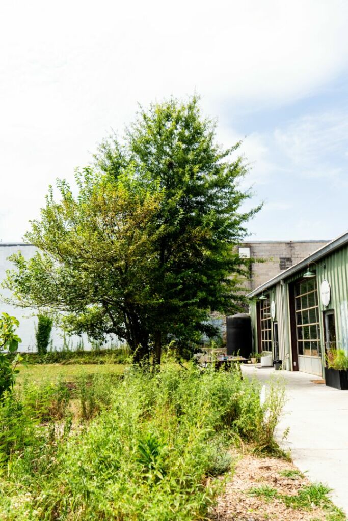 Meet Brandy Hall | Founder and CEO of Shades of Green Permaculture ...