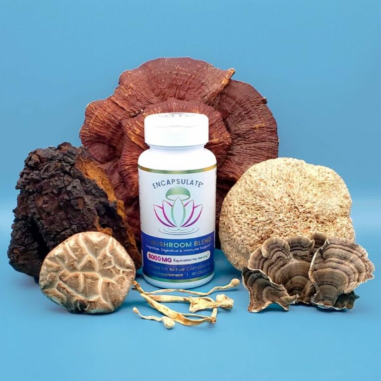 Meet David Claassen | Entrepreneur // Mushroom Supplements - SHOUTOUT ATLANTA