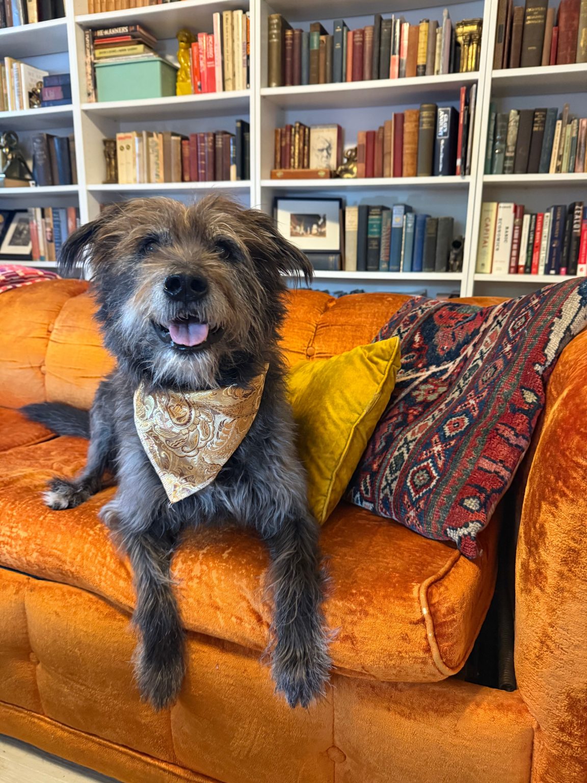 Meet Taryn Thibodeaux | Founder & Creative Director of The Taryn ...