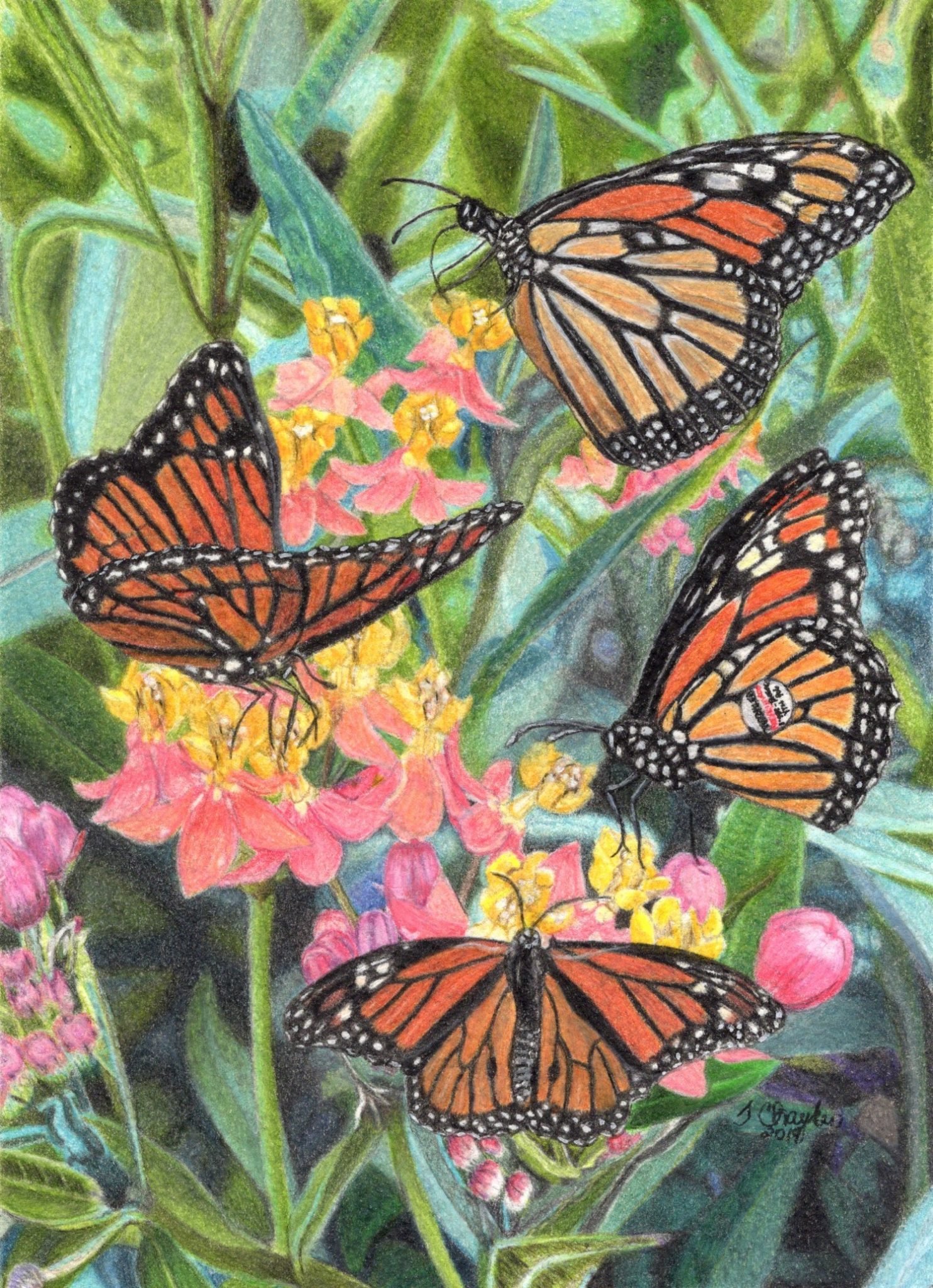 Meet Tracey Chaykin | Master Colored Pencil Artist - SHOUTOUT ATLANTA