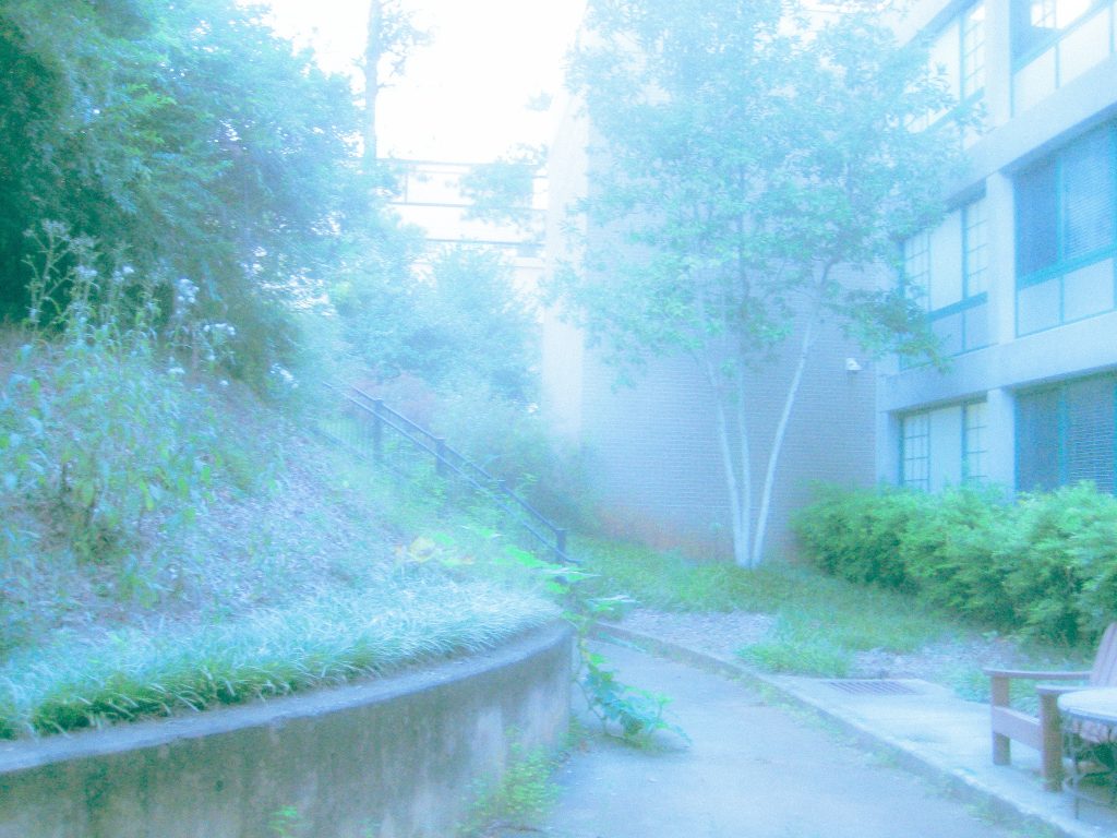 Meet Jaylin Murphy | Filmmaker & Editor - SHOUTOUT ATLANTA